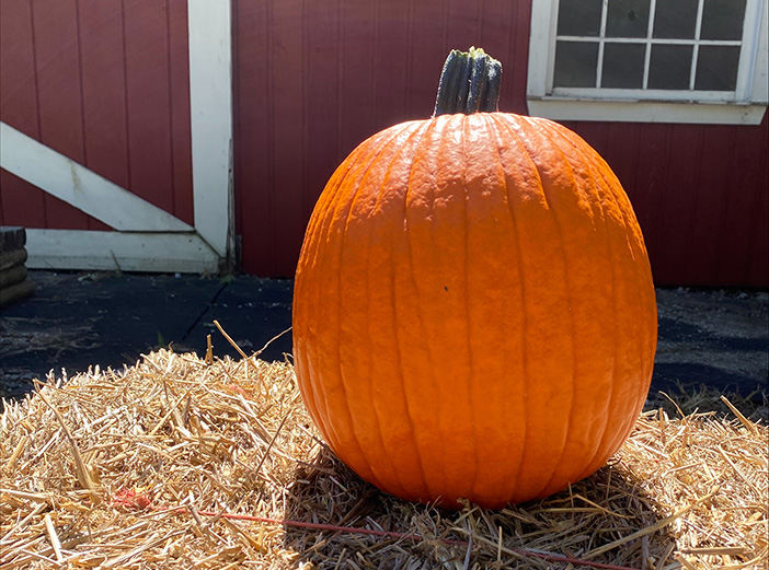 Great Parks of Hamilton County - Parky's Farm