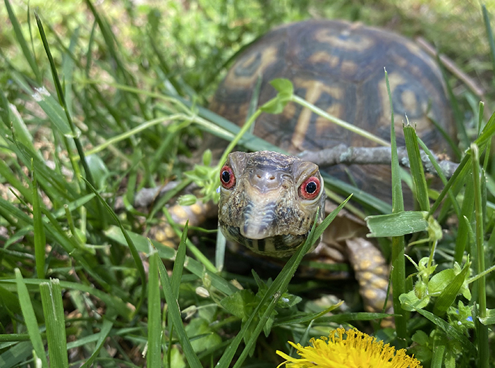 Great Parks of Hamilton County - Parky's Farm