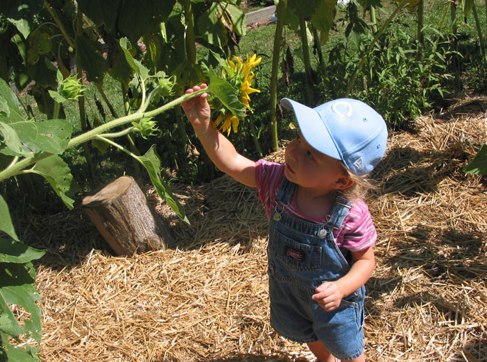 Great Parks - Parky's Farm