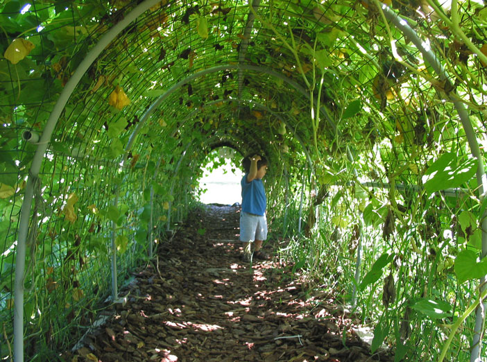 Great Parks of Hamilton County - Parky's Farm