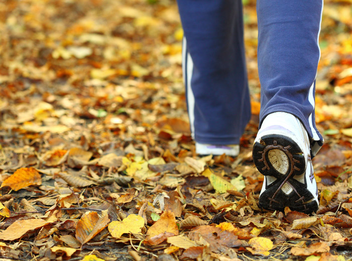 Mitchell Memorial Forest