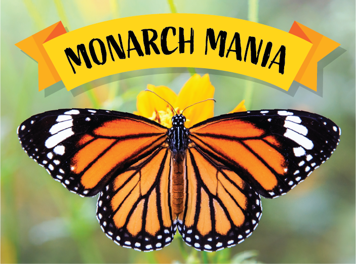 Great Parks of Hamilton County - Naturalist Programs